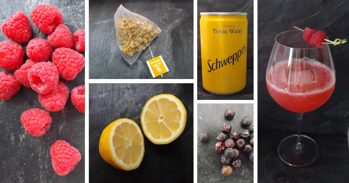 Purely Platonic: Raspberry and Juniper Tonic